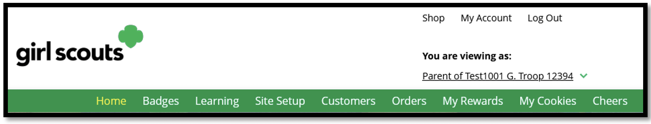 For Cookie Sellers | Girl Scouts